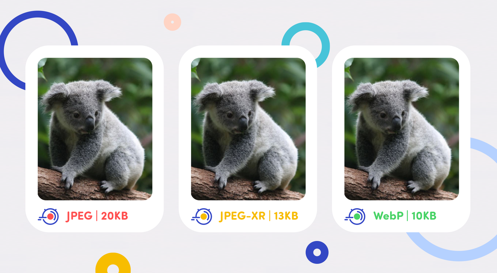 How To Compress Jpegs Without Losing Quality Shrinkjpgsizeadmin